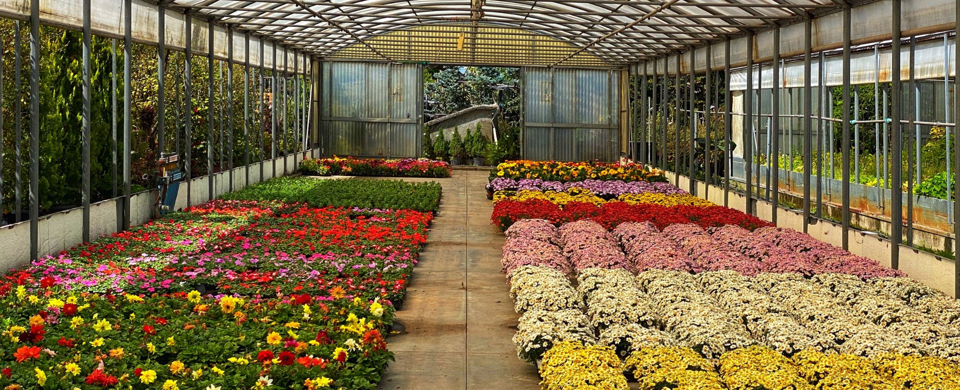 Welcome to Aziz Nursery Farm – Aziz Nursery Farm